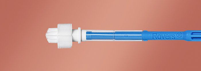 Bronchial cytology brush - CYC000007 - Hospitex International