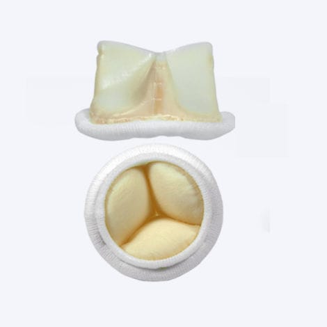 Aortic valve bioprosthesis - P-2010 - Labcor - mitral / bovine tissue