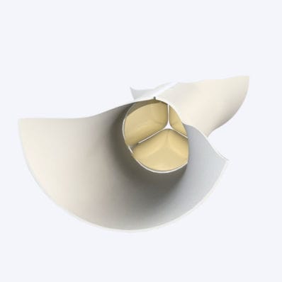 Pulmonary artery vascular bioprosthesis - Velum® - Labcor - with valve ...