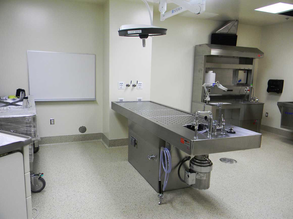 Stainless Steel Autopsy Cleaning Table Autopsy Corpse - vrogue.co