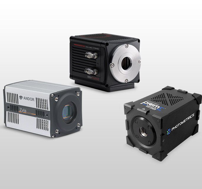 Microscope camera - sCMOS - Evident - Olympus Scientific Solutions ...