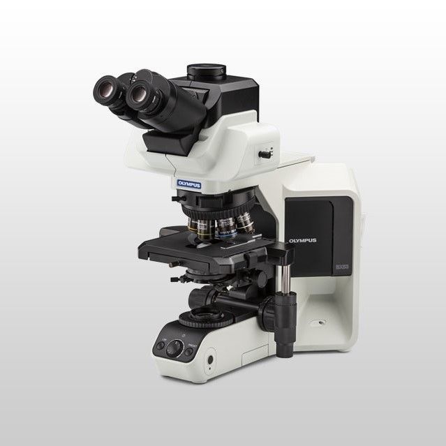 Optical microscope - BX53 - Evident Europe - laboratory / for research ...