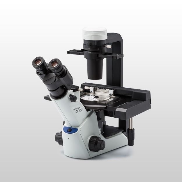 Inverted microscope - CKX53 - Evident - Olympus Scientific Solutions ...