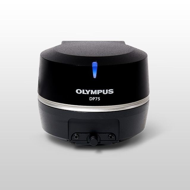 Microscope camera - DP75 - Evident - Olympus Scientific Solutions ...