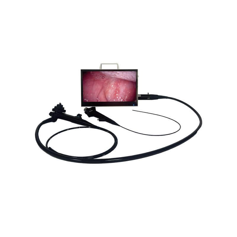 Endoscopy display - BVI16 Vet - BMV