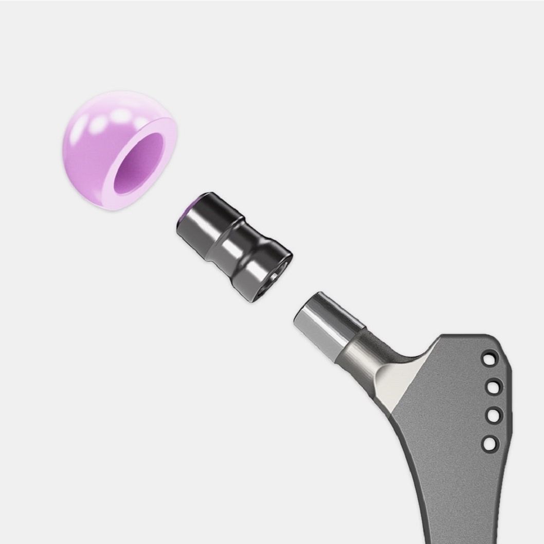 Revision hip prosthesis - BioBall® - Merete - primary / cemented or non ...