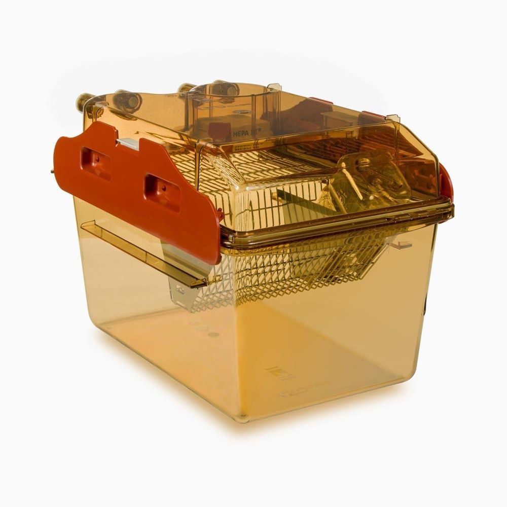 Containment animal research cage - IsoRat900 N - Tecniplast - for ...