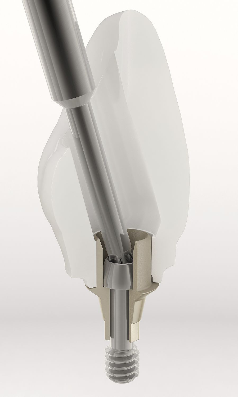 Titanium implant abutment - BH - DESS AURUM Base™ - Dess Dental Smart ...
