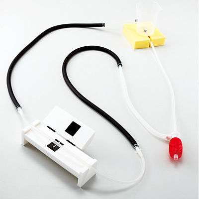 Blood pressure measurement simulator - M154 - Sakamoto Model ...