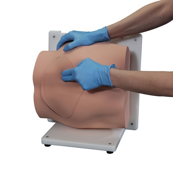Puncture simulator - BONNIE™ - VATA, Inc. - palpation / biopsy / for ...