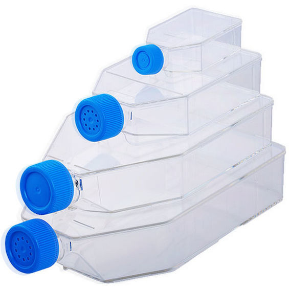 Cell culture flask - P2101 series - ABDOS LABTECH PRIVATE LIMITED ...