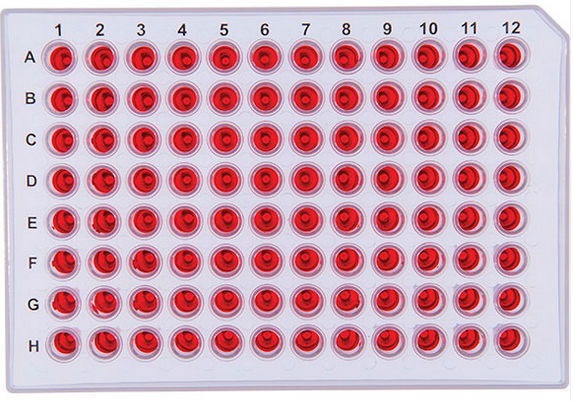 PCR microplate - P107 series - ABDOS LABTECH PRIVATE LIMITED. - 96-well