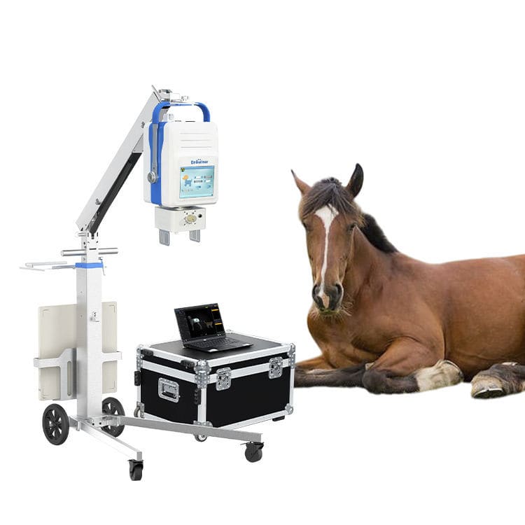 Veterinary X-ray system - Beatle-06P1(Vet-S) - Browiner - digital ...