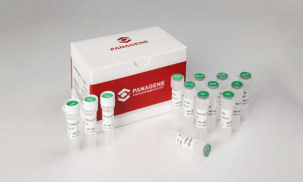 Solution reagent - PNAR-1001 - Panagene Inc. - for cancers / liquid / for KRAS mutations