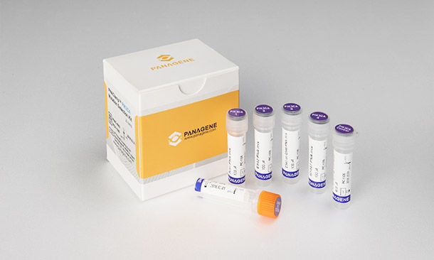 Cancer test kit - PNAC-4001 - Panagene Inc. - oncology / tissue / for ...