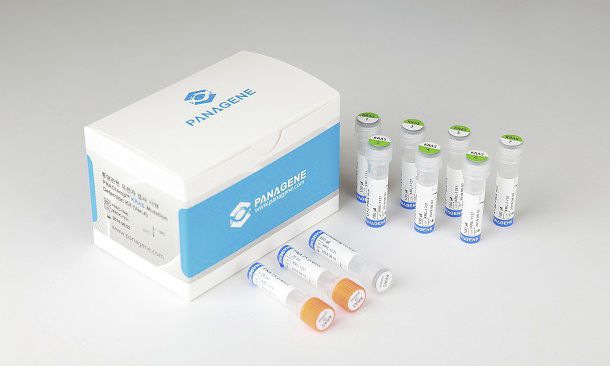 Cancer test kit - PNACIamp™ - Panagene Inc. - oncology / for KRAS ...