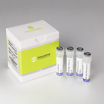 Leukemia test kit - PNACIamp™ - Panagene Inc. - tissue / for RT-PCR