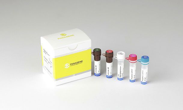 STD test kit - PANA RealTyper™ - Panagene Inc. - urine / vaginal secretions