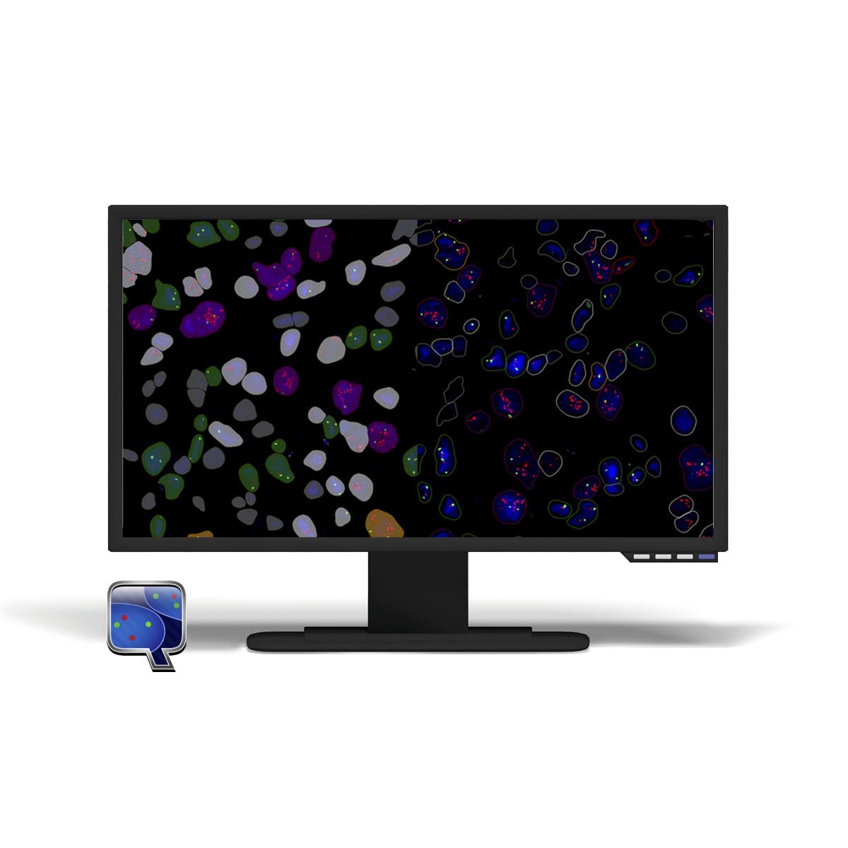 FISH software module - FISHQuant - 3DHISTECH Ltd. - analysis ...