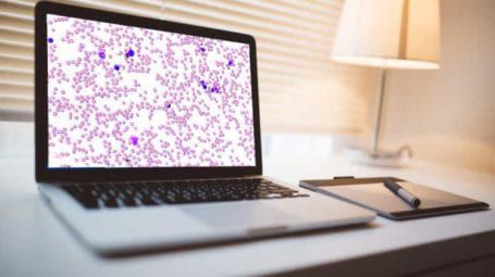 Education software - 3DHISTECH Ltd. - evaluation / medical ...