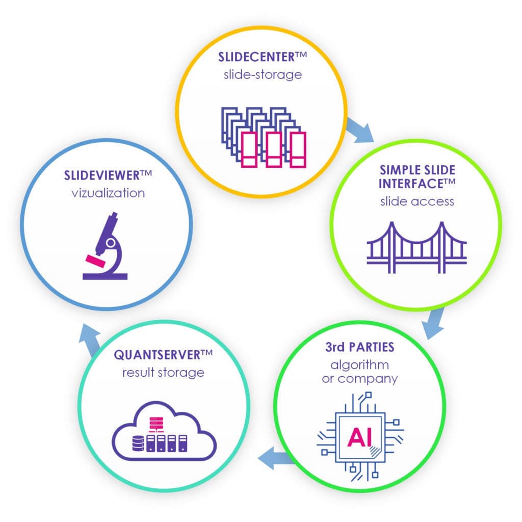 Analysis software - SimpleSlideInterface - 3DHISTECH Ltd. - medical ...