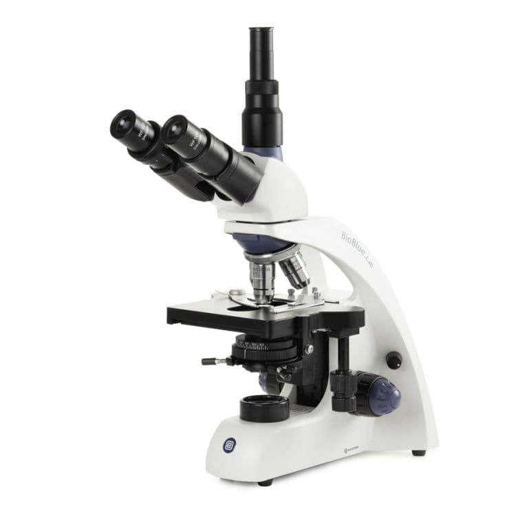 Optical microscope - BioBlue.Lab - Euromex - laboratory / upright / trinocular