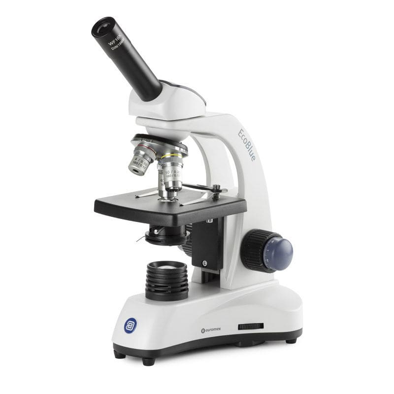 Polarization microscope - EcoBlue - Euromex - optical / laboratory / education