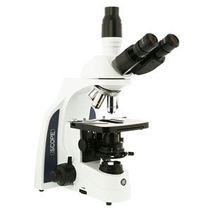 Optical microscope - IS.1153-EPLi - Euromex - laboratory / Siedentopf ...