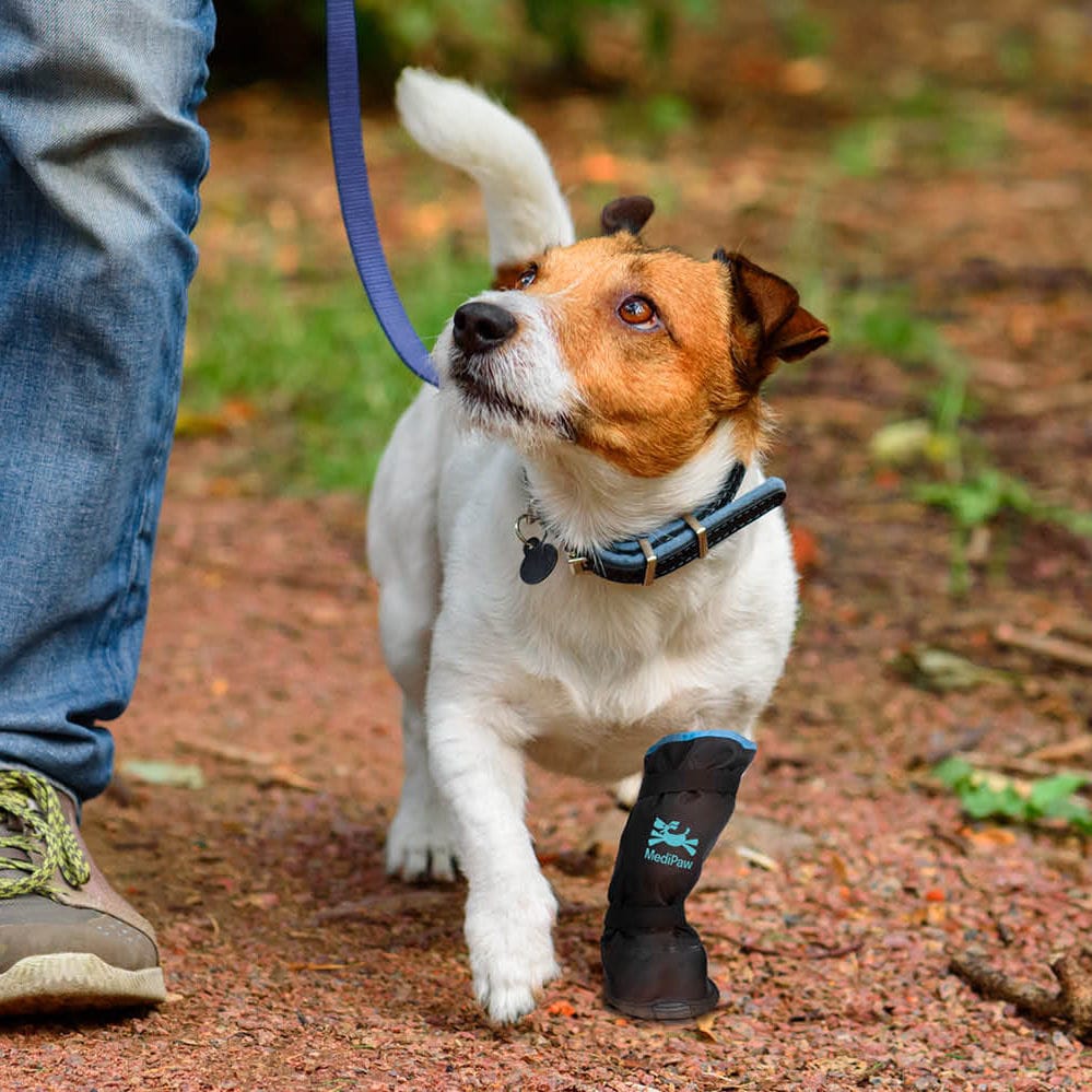 Waterproof veterinary protective boot - Rugged X - MediVet Products ...