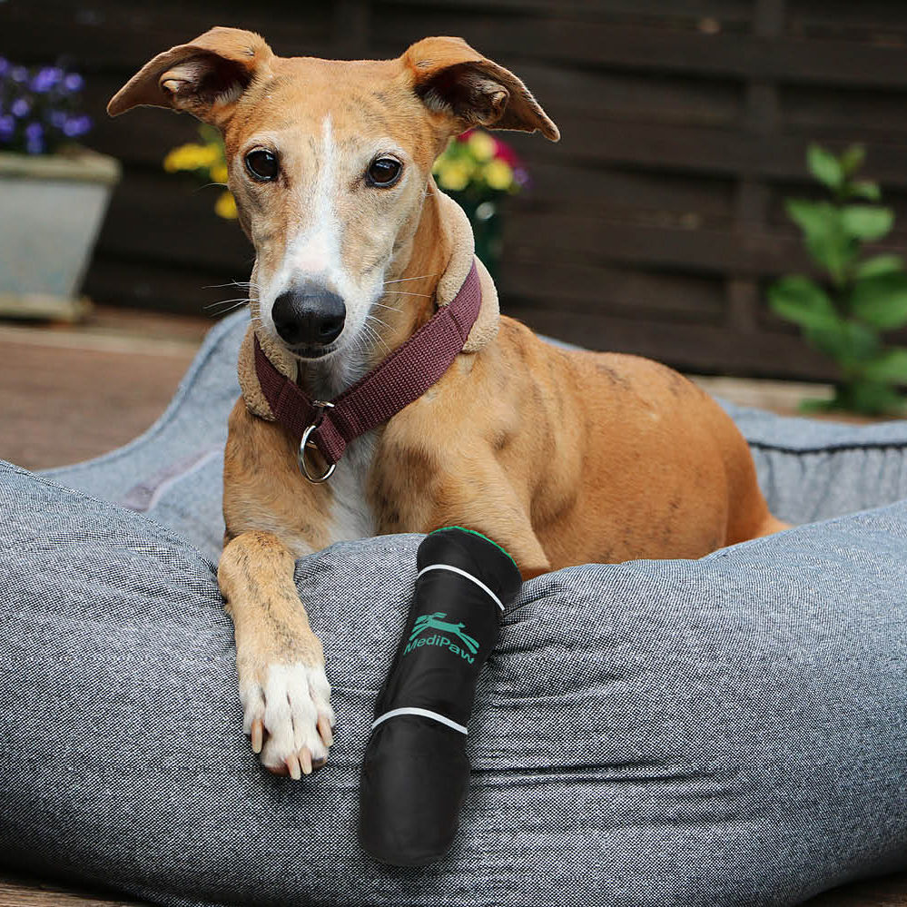 Breathable veterinary protective boot - Medipaw® Healing Slim BOOT ...