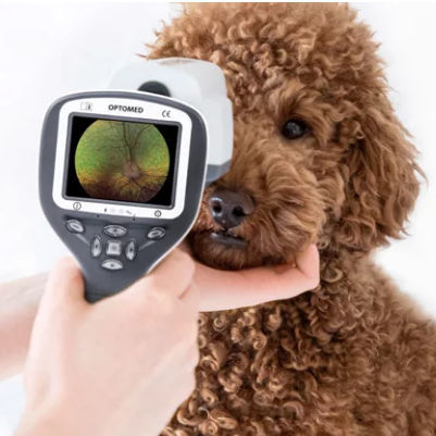 Veterinary retinal camera - Smartscope PRO Vet - Optomed - hand-held
