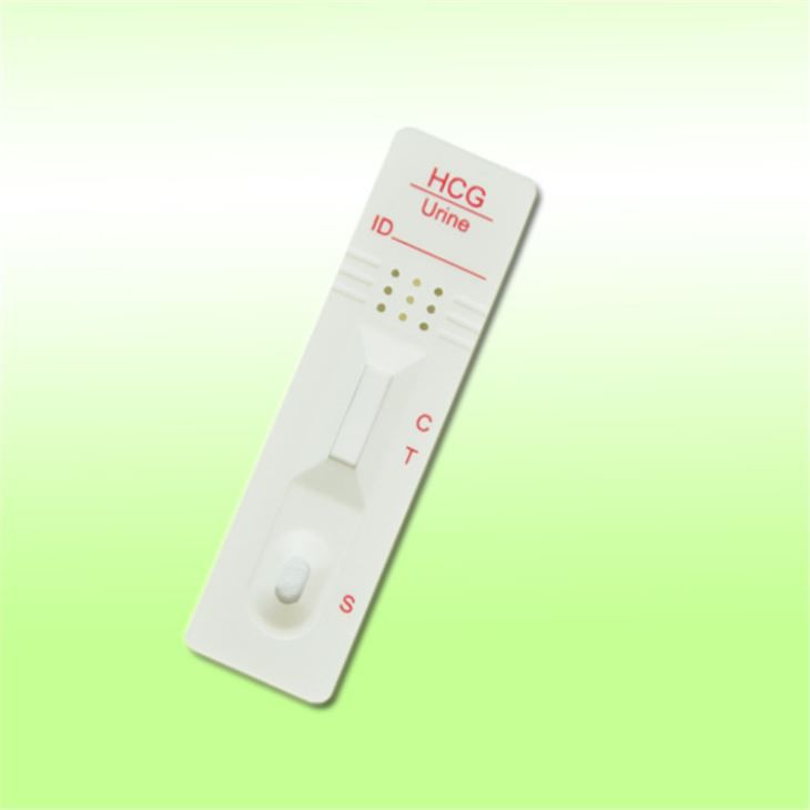 Pregnancy Test 1D04C3 3 Boson Biotech Co Ltd Protein HCG Urine pregnancy-test-1d04c3-3-boson-biotech-co-ltd-protein-hcg-urine