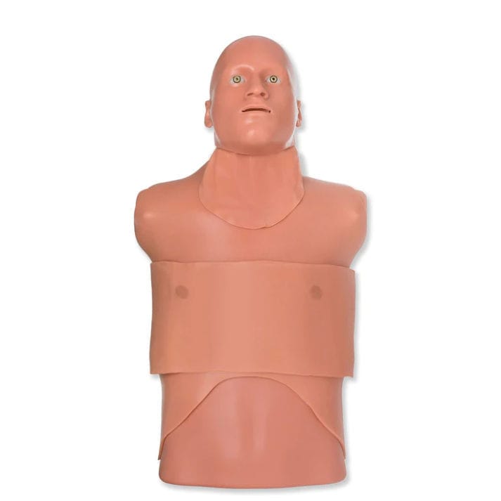 Dissection patient simulator - TraumaMan® - Simulab Corporation ...