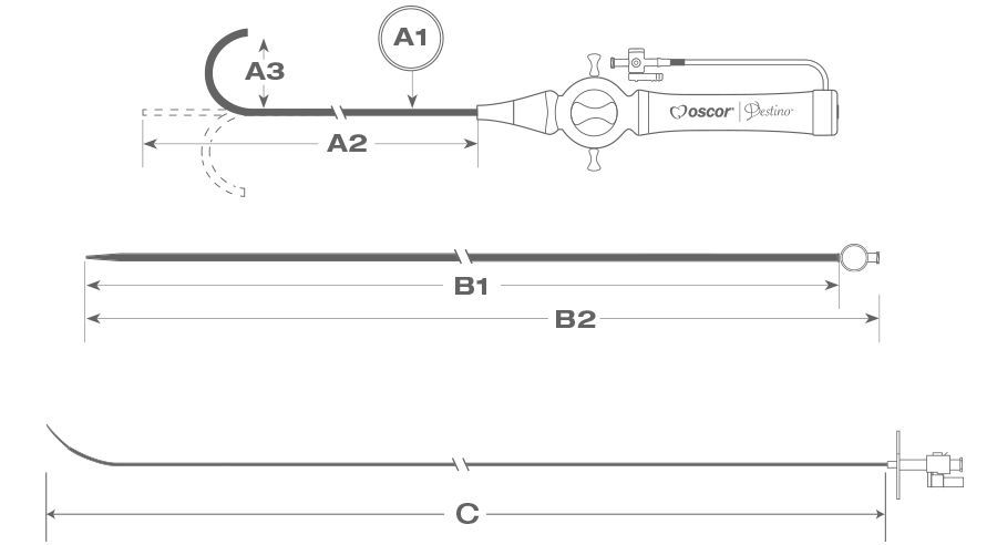 Guiding catheter / blood vessel / steerable - Destino® - Oscor