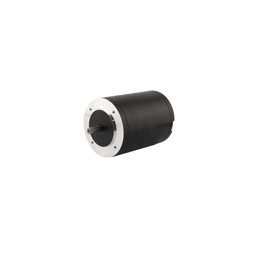 Brushless motor - 80ZYTC102-1 - Jiangsu DINGS’ Intelligent Control ...