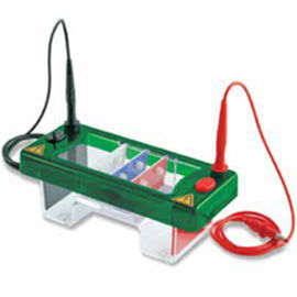 PCR electrophoresis tank - EHS1 series - Consort - horizontal