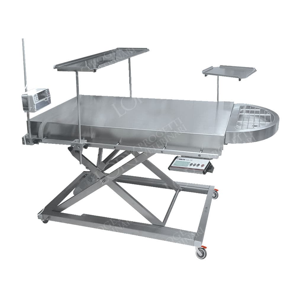 Veterinary examination table - TAV044 - Lory Progetti Veterinari srl ...
