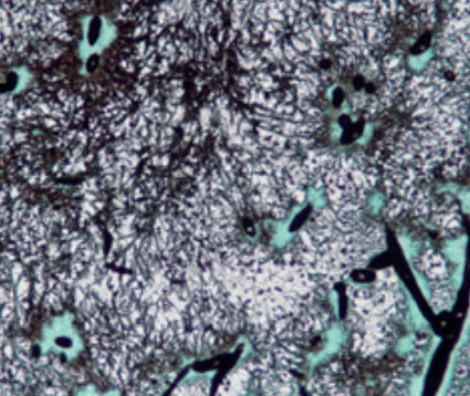 Staining solution reagent - Grocott - BIO-OPTICA Milano - for histology ...