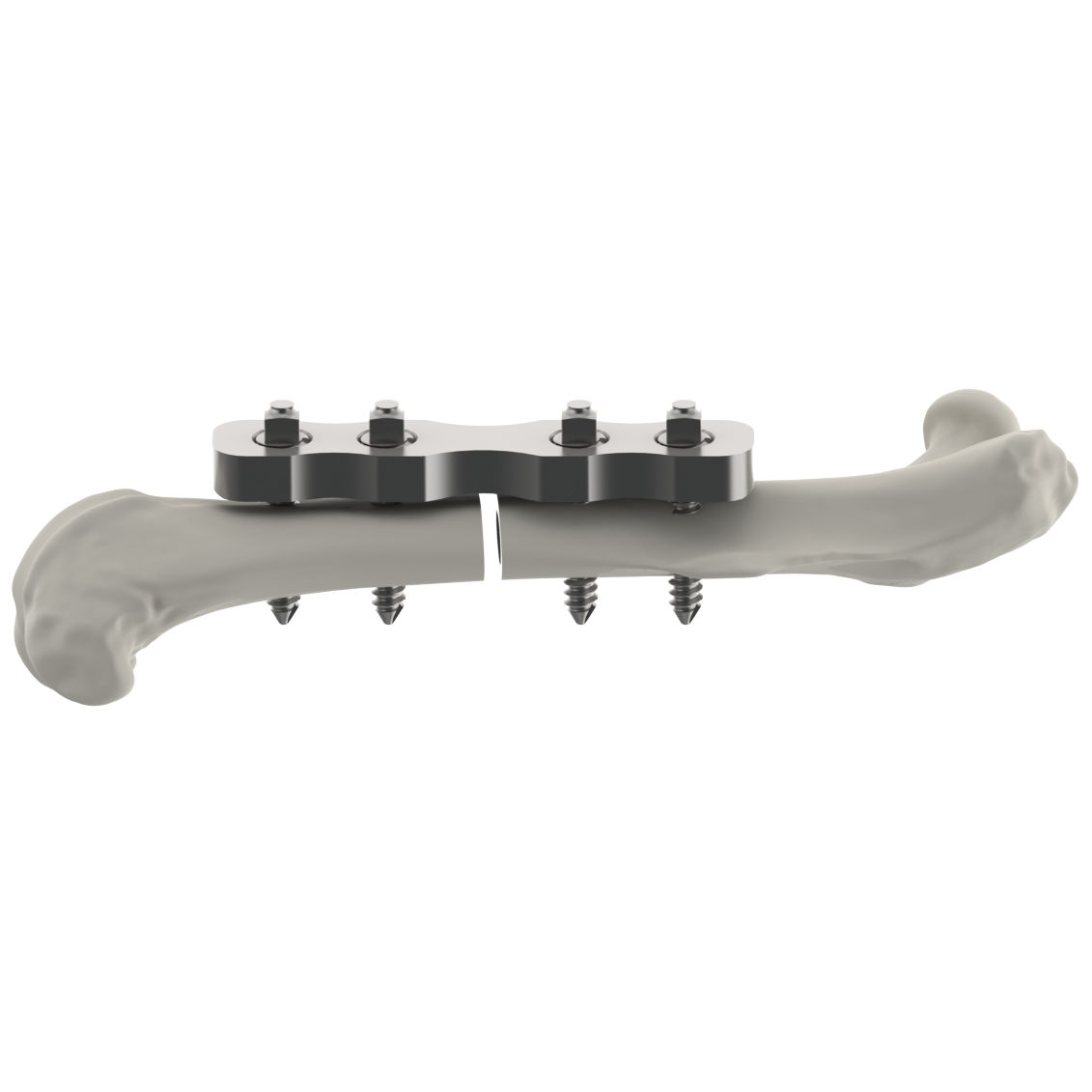 Mice veterinary bone plate - MouseFix - RISystem AG - femur