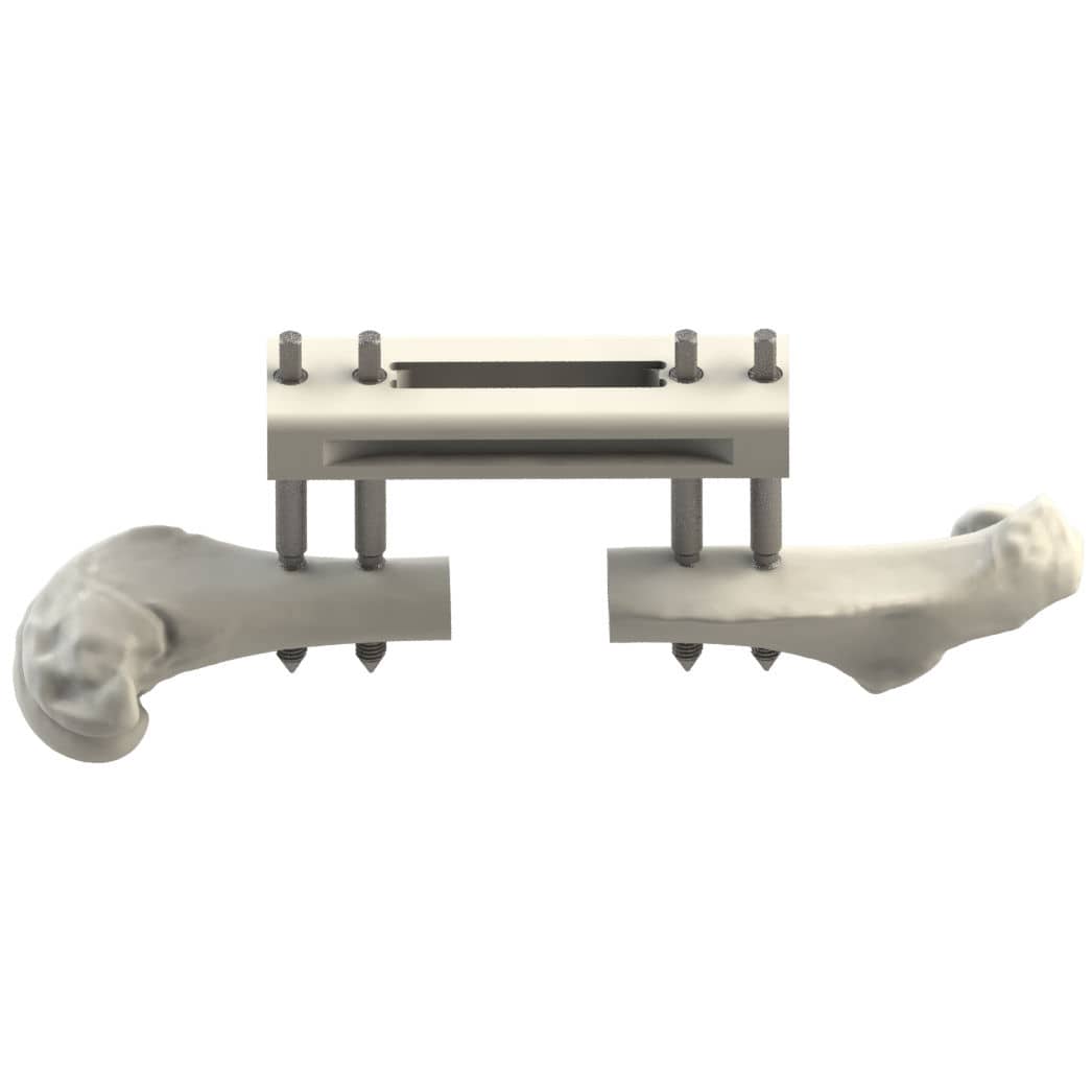 Femur veterinary external fixator - RatExFix - RISystem AG - for rats