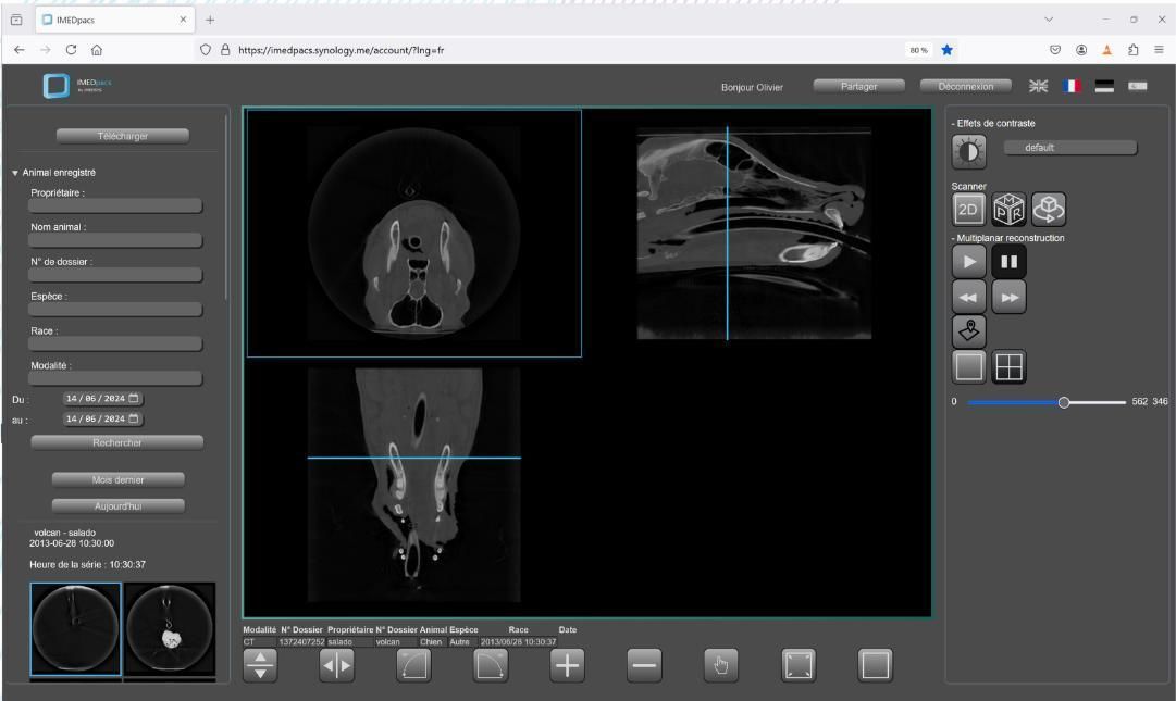 Visualization software - IMEDpacs - Imedsys - veterinary / 2D / 3D