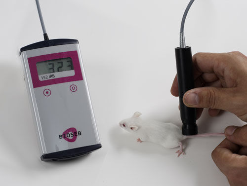 Rodent thermometer - BIO-IRB153 - Bioseb - for animal research ...