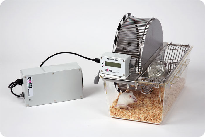 Animal research activity wheel - BIO-ACTIVW-M - Bioseb - for rats / for ...