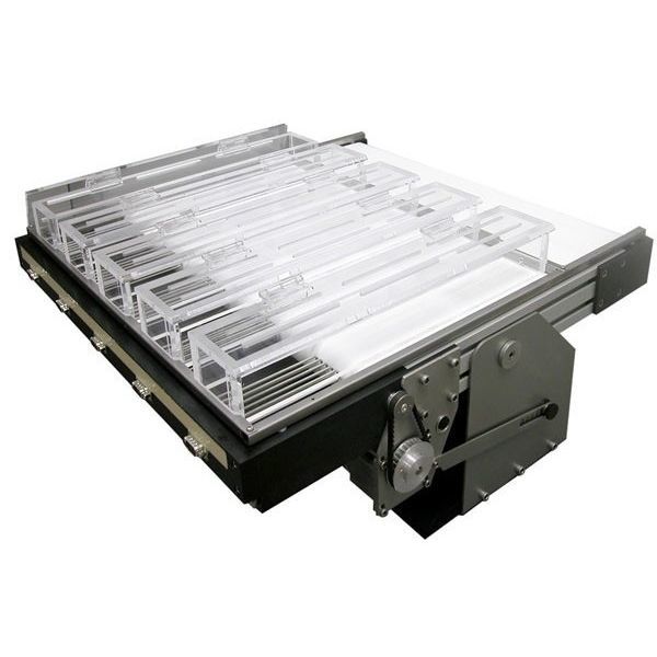 Preclinical research treadmill - BX-TM - Bioseb