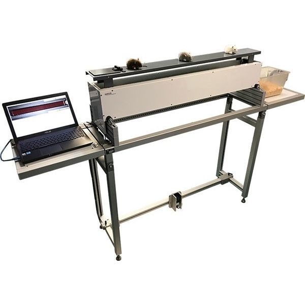 Automated ladder test - BIO-LADDERTEST - Bioseb - gait / locomotion ...