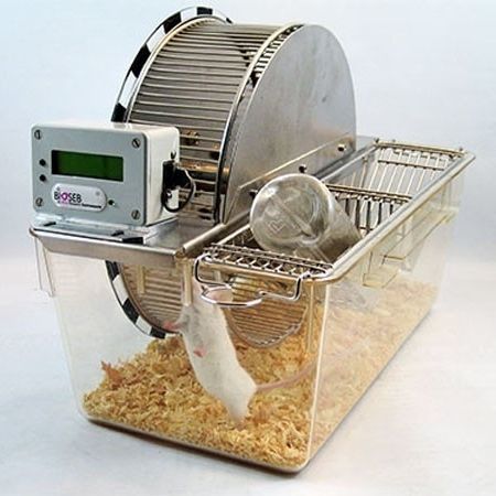 Preclinical research activity wheel - BIO-ACTIVW-M - Bioseb - for ...