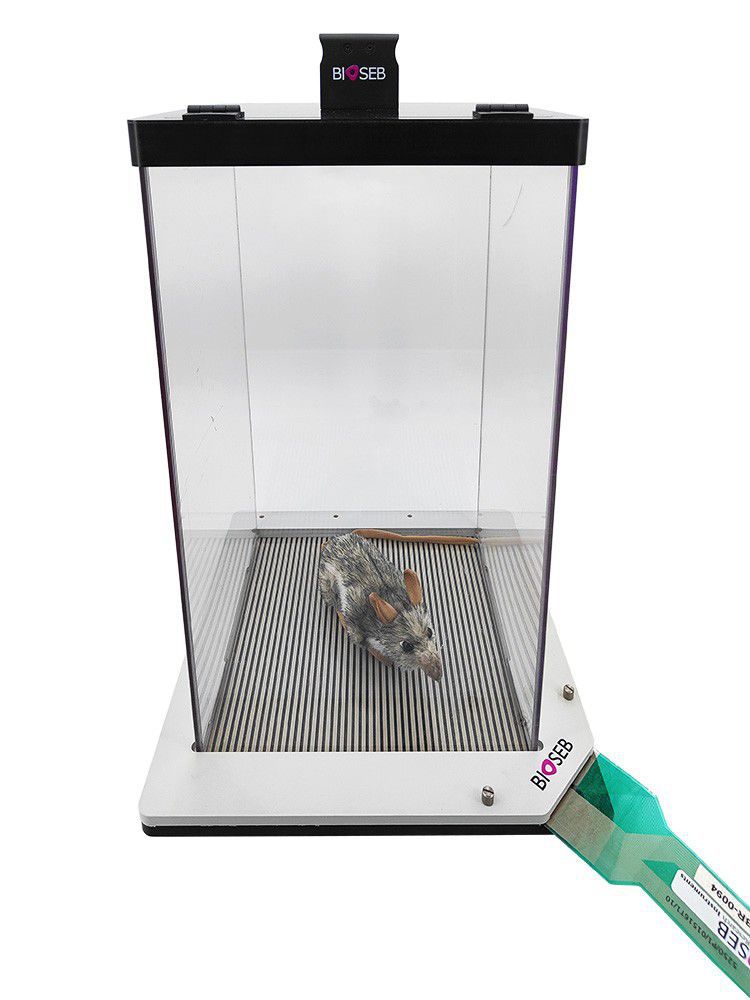 Dynamic weight bearing test - BIO-DWB-DUAL - Bioseb - for animal ...