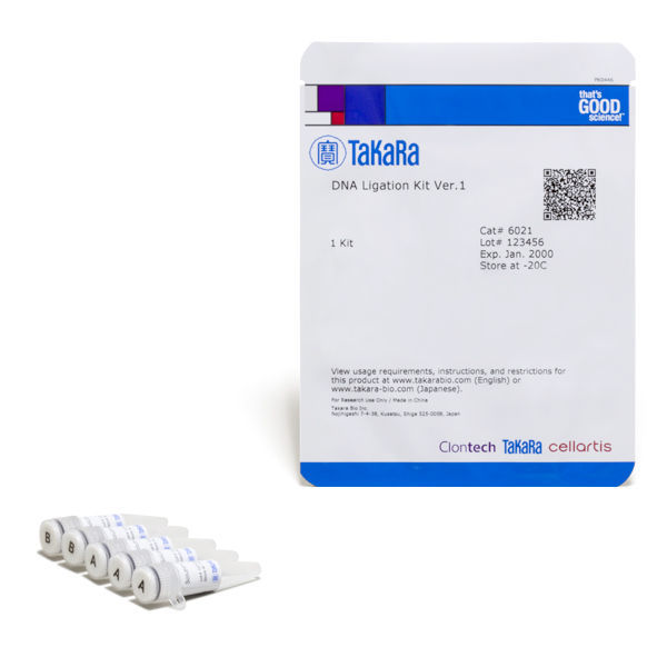 Solution reagent kit - 602 series - TAKARA - DNA ligase / for nucleic ...
