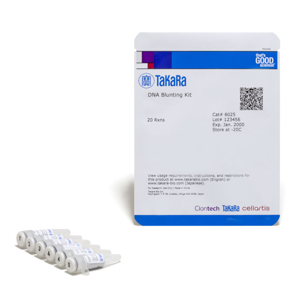 DNA polymerase reagent kit - 6025 - TAKARA - DNA ligase / for nucleic ...