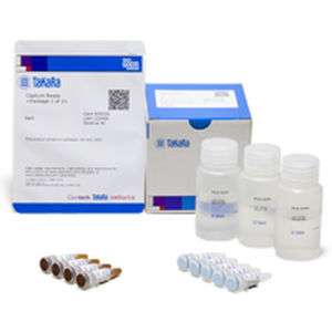Magnetic bead-based reagent kit - SMARTer® - TAKARA - for single cell ...